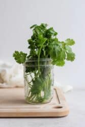 How to Chop Cilantro {Step-by-Step Tutorial} - Feel Good Foodie