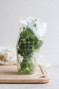 How to Chop Cilantro {Step-by-Step Tutorial} - Feel Good Foodie