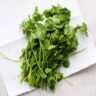 How to Chop Cilantro {Step-by-Step Tutorial} - Feel Good Foodie