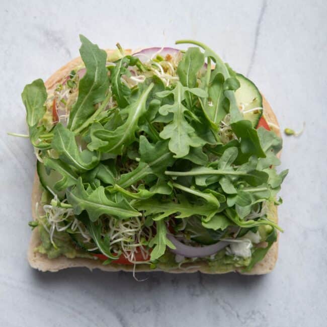 Avocado Sandwich Recipe with Tomatoes, Cucumbers & Red Onions