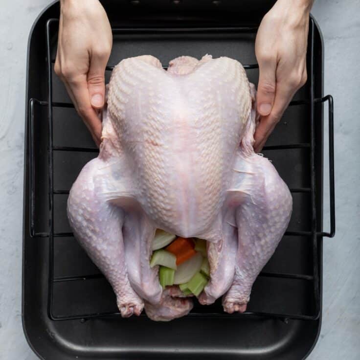 Easy Thanksgiving Turkey Recipe