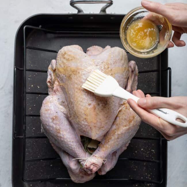 Easy Thanksgiving Turkey Recipe
