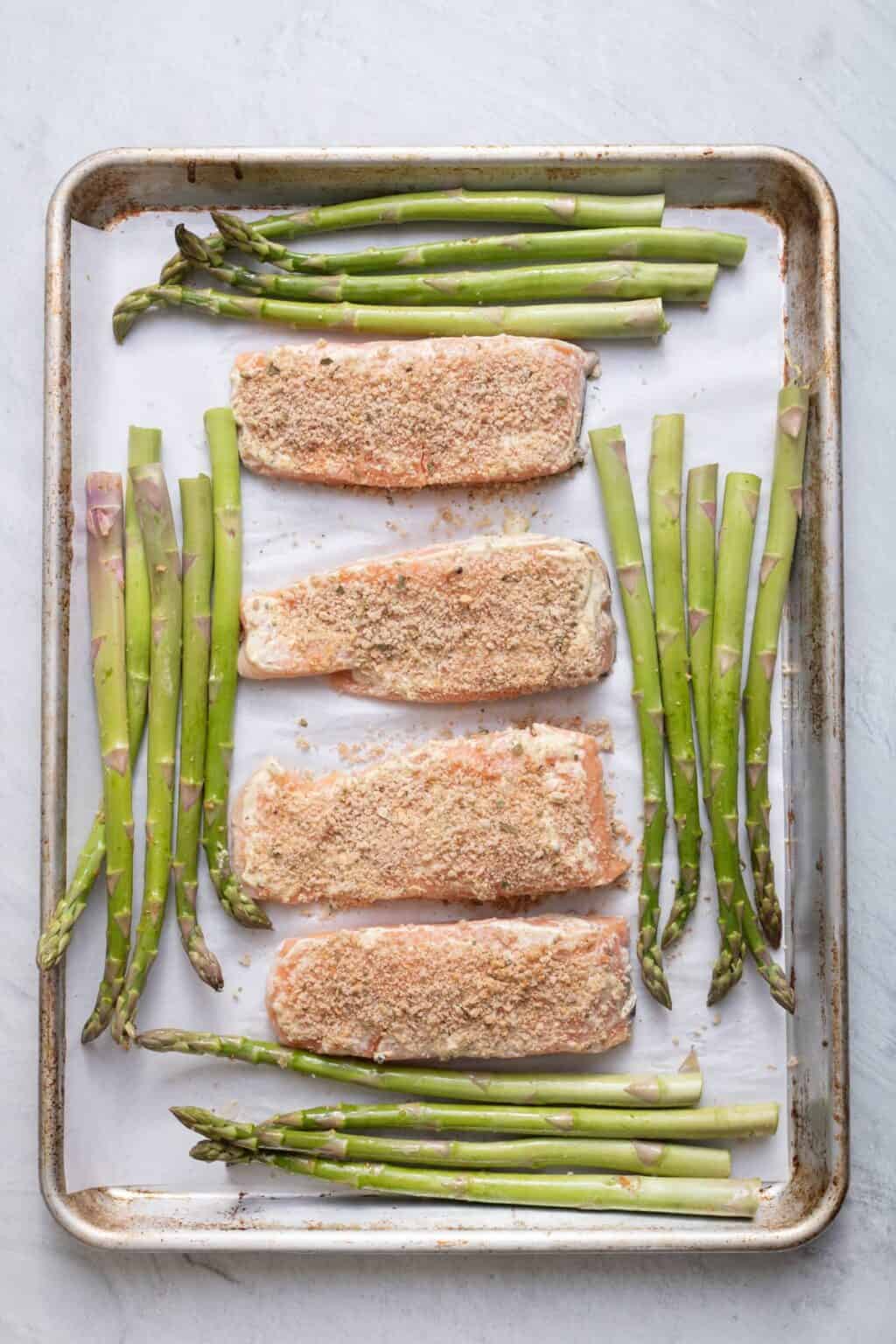 Panko Crusted Salmon Recipe Baked in 15 Minutes!