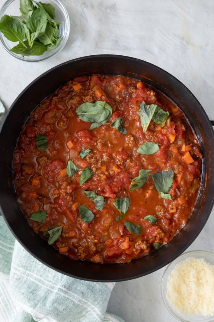 Homemade Spaghetti Sauce Recipe: Chunky or Smooth Variation