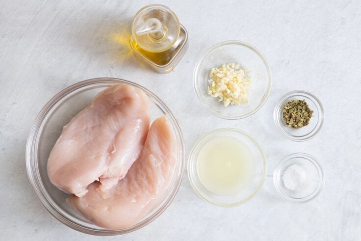 4 Chicken Marinade Recipes {Lemon, Soy Ginger, Fajita, and Honey Mustard}