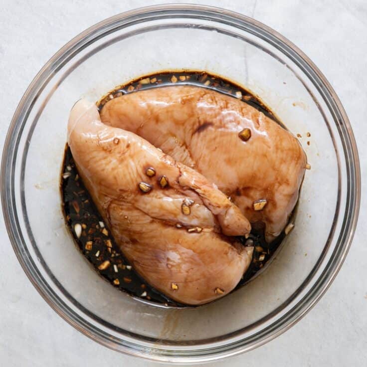 4 Chicken Marinade Recipes {Lemon, Soy Ginger, Fajita, and Honey Mustard}