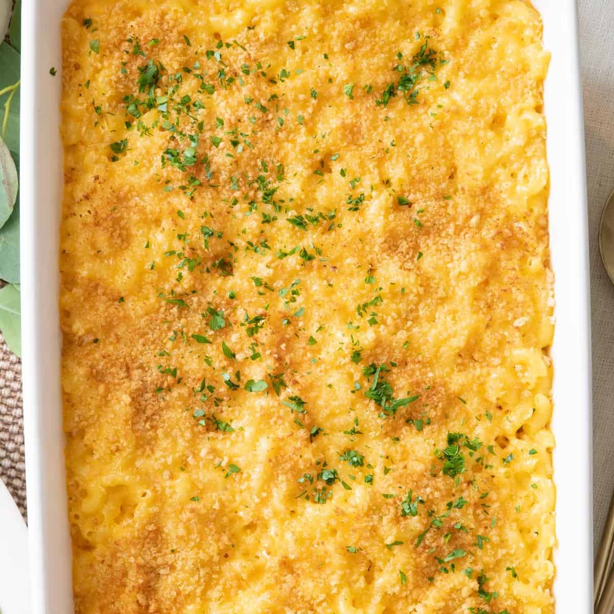 Baked Macaroni and Cheese Recipe with Crispy Topping