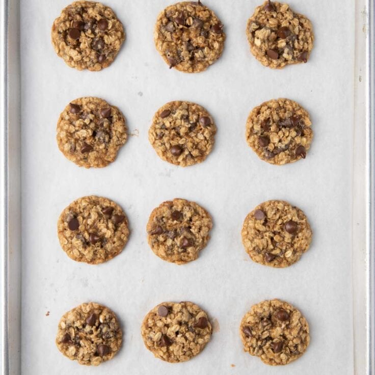 Oatmeal Chocolate Chip Cookie Recipe (Soft and Chewy)