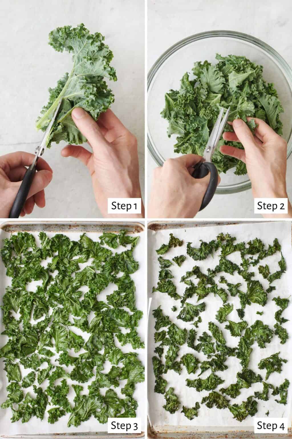 Crispy Baked Kale Chips {Base Recipe!} - Feel Good Foodie