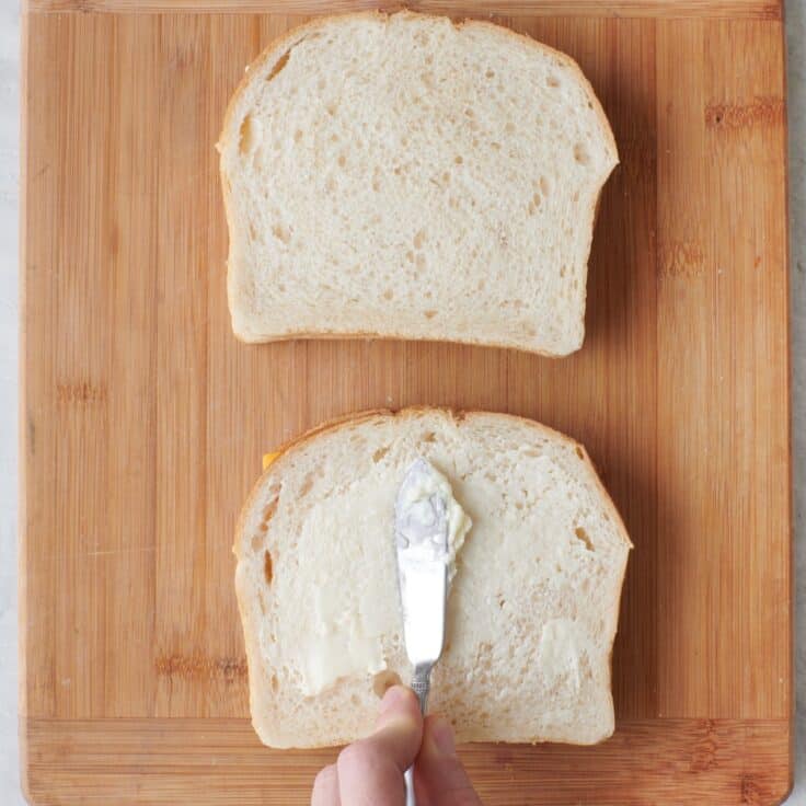Easy Grilled Cheese Recipe (How-To!)