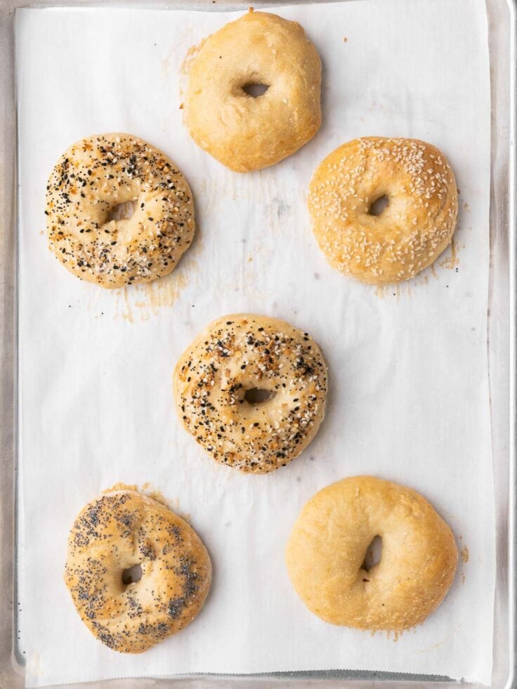 2-Ingredient Bagels {Just Flour & Yogurt!}