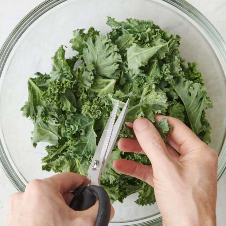 Crispy Baked Kale Chips {Base Recipe!}