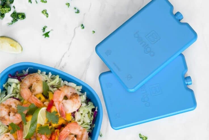 My 14 Favorite Back to School Lunch Essentials at Walmart