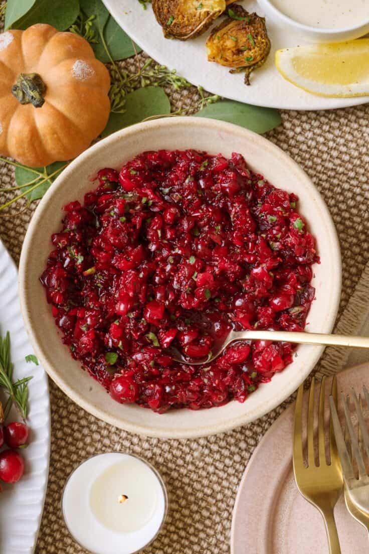 Cranberry Salsa Recipe with Fresh Cranberries