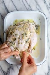 Roasted Chicken Recipe with Garlic & Herbs