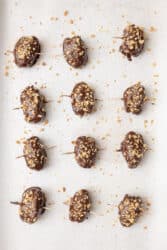 4 Ingredient Date Snickers {TikTok Recipe} - Feel Good Foodie