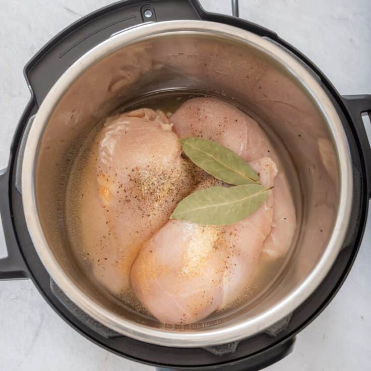 Instant Pot Shredded Chicken Recipe Ready in 30