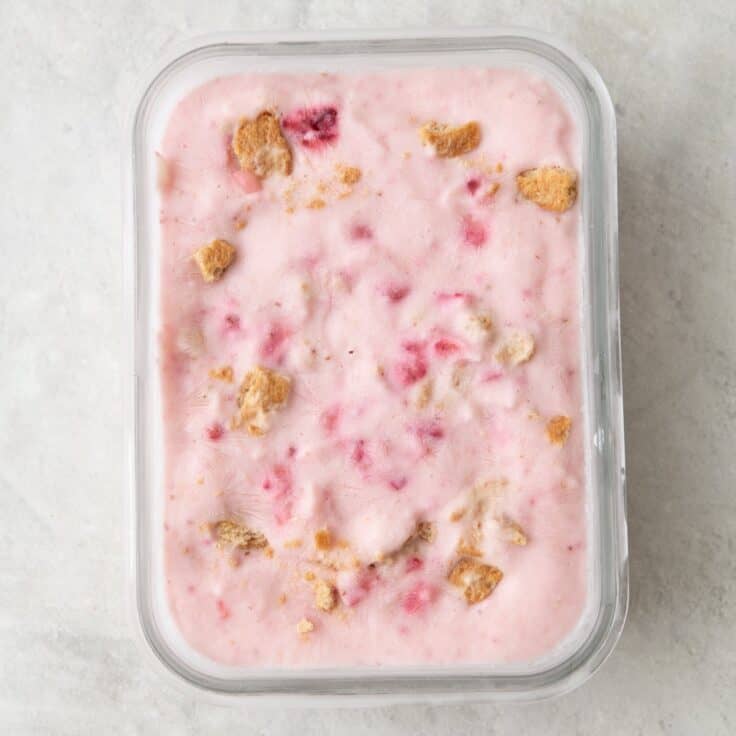 Cottage Cheese Ice Cream {3-Flavors} - Feel Good Foodie