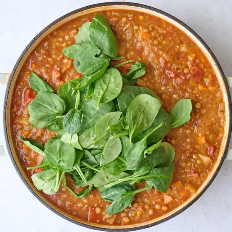 Lentil Stew Recipe One Pot