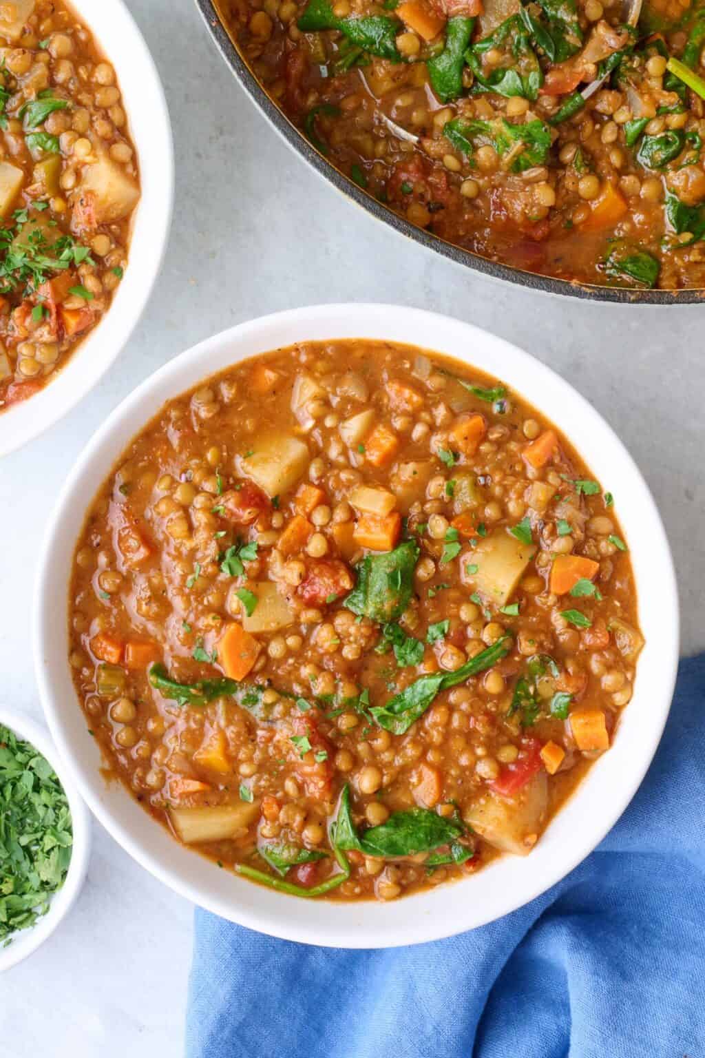 Lentil Stew One Pot Recipe