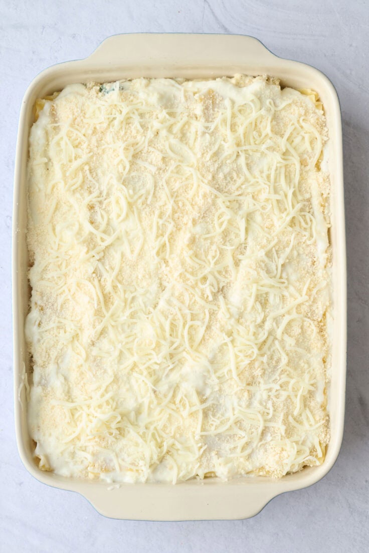 Chicken Lasagna